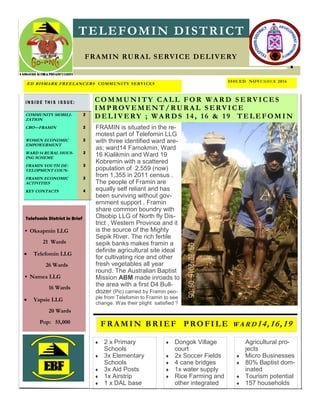 Rural service delivery. framin draft1 | PDF