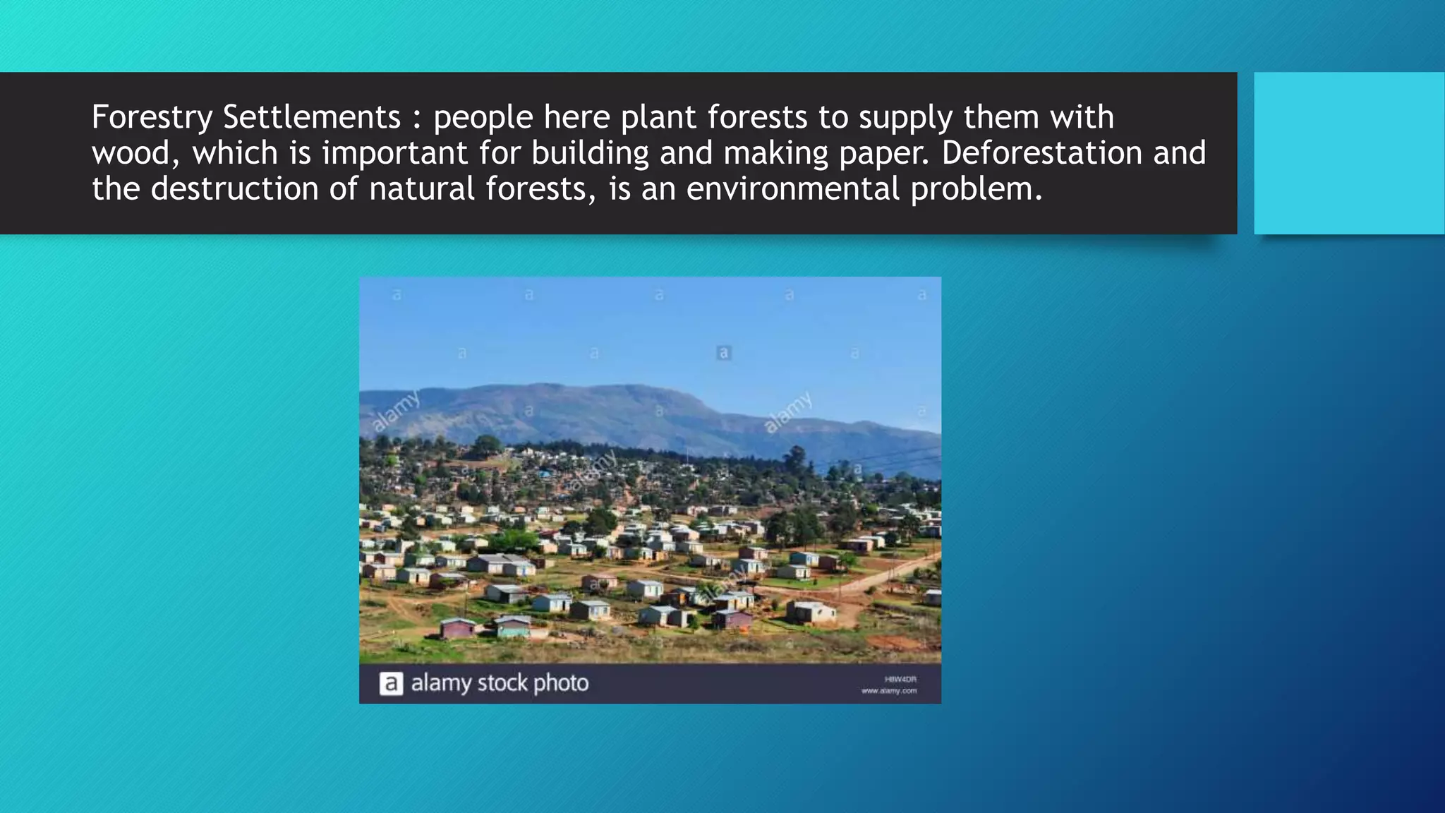 Rural settlements | PPTX