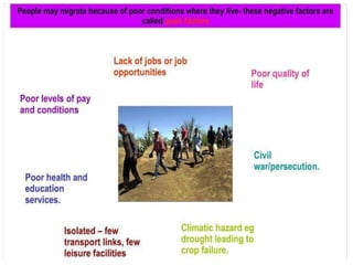 Rural urban migration | PPTX