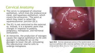 rushali ppt (2).pptx