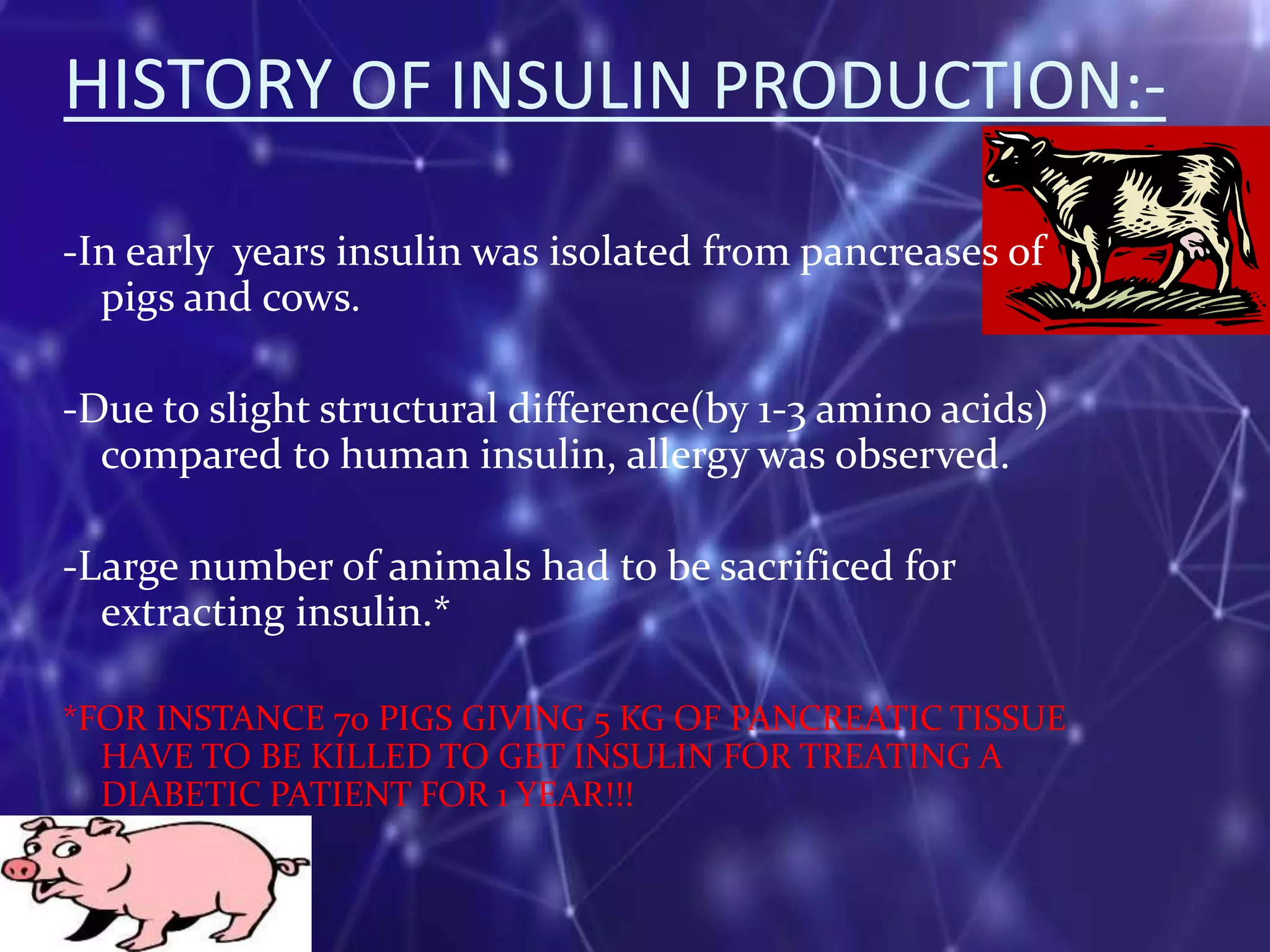 Rusham presentation on human insulin | PPTX