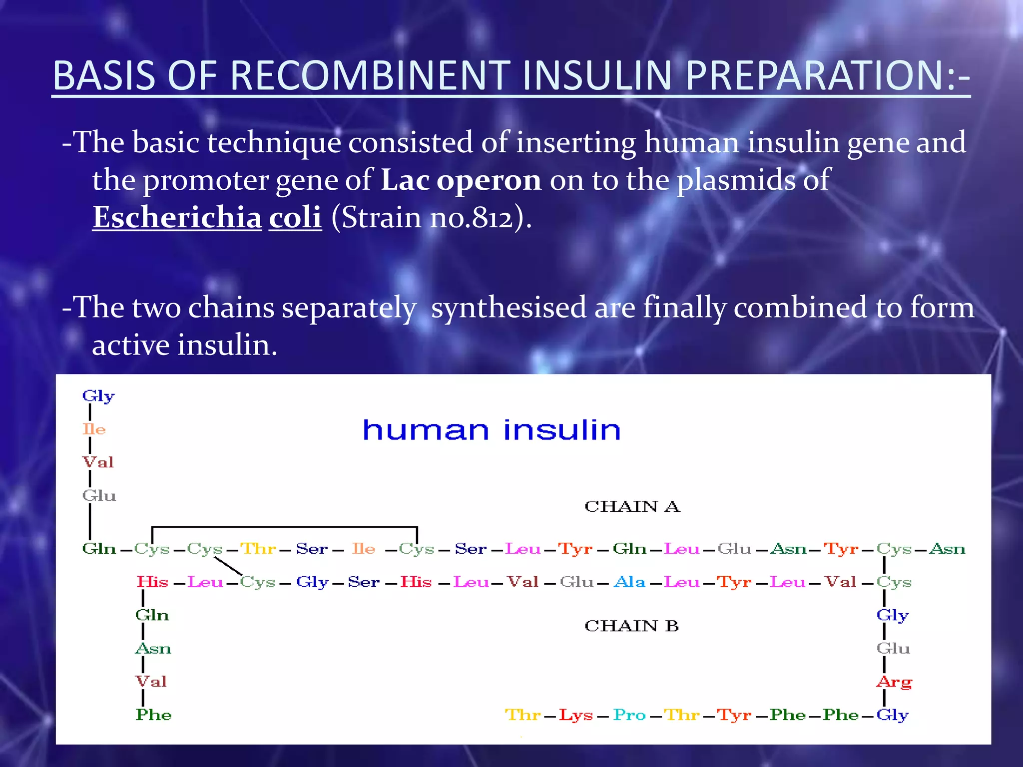 Rusham presentation on human insulin | PPTX