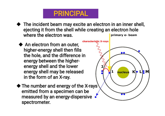 ( EDAX)energy Dispersive xray spectroscopy | PDF