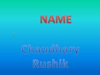 rushik chaudhary | PPT