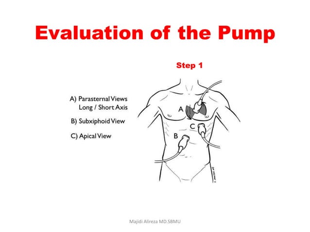 Rush protocol | PPSX
