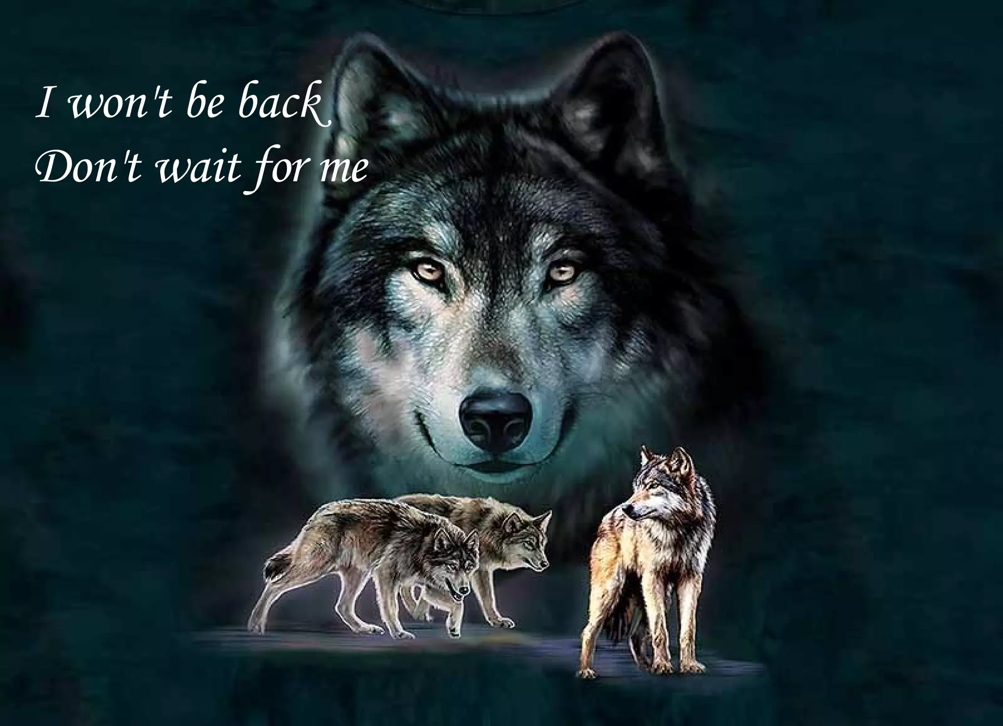 Ruslana_ Dance With The Wolves | PPS