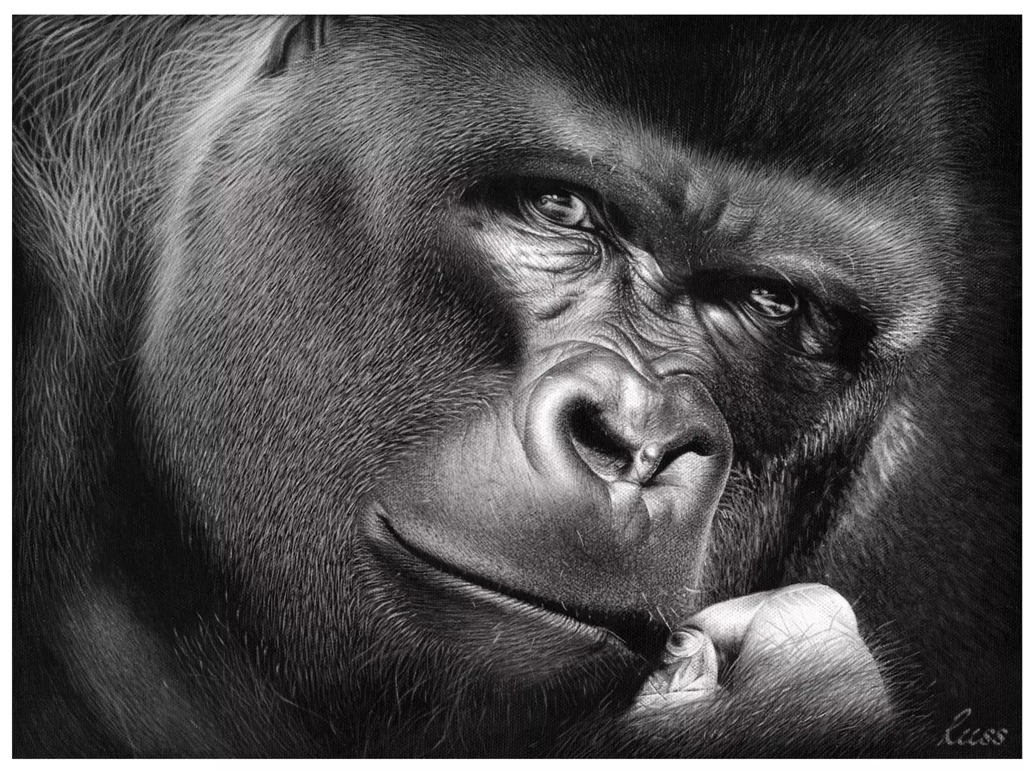 Russell horner – drawings and paintings | PPT