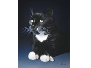 Russell horner – drawings and paintings | PPT