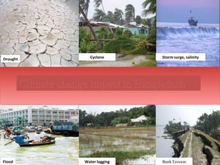 Russell ppt | PPT | Geography | Science