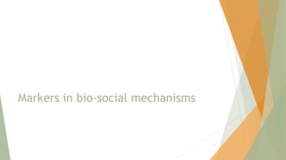 Socio-markers in bio-social mechanisms | PPT