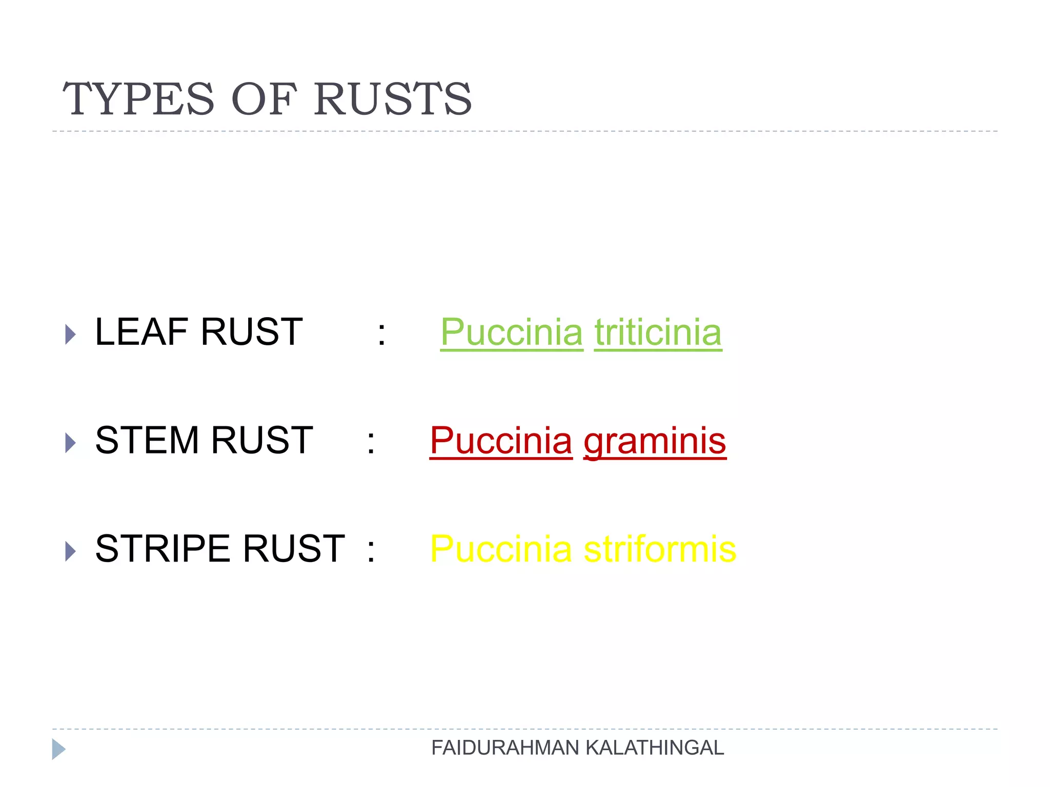 Rust disease in plants lin | PPTX
