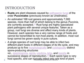 Rust disease in plants lin | PPTX