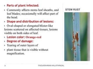 Rust disease in plants lin | PPTX