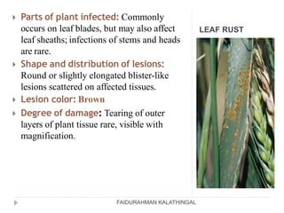 Rust disease in plants lin | PPTX