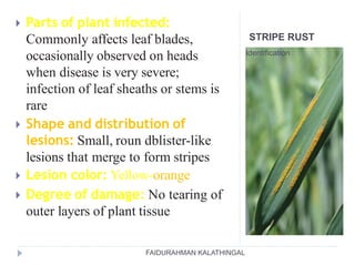 Rust disease in plants lin | PPTX