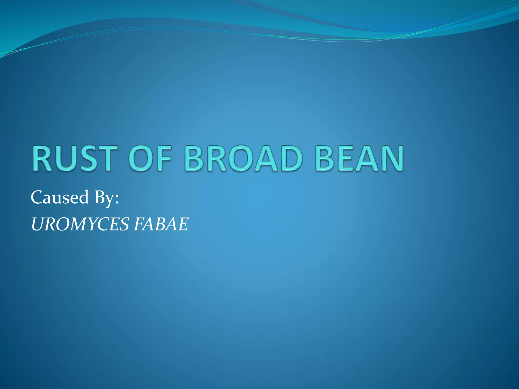 Rust diseases | PPTX