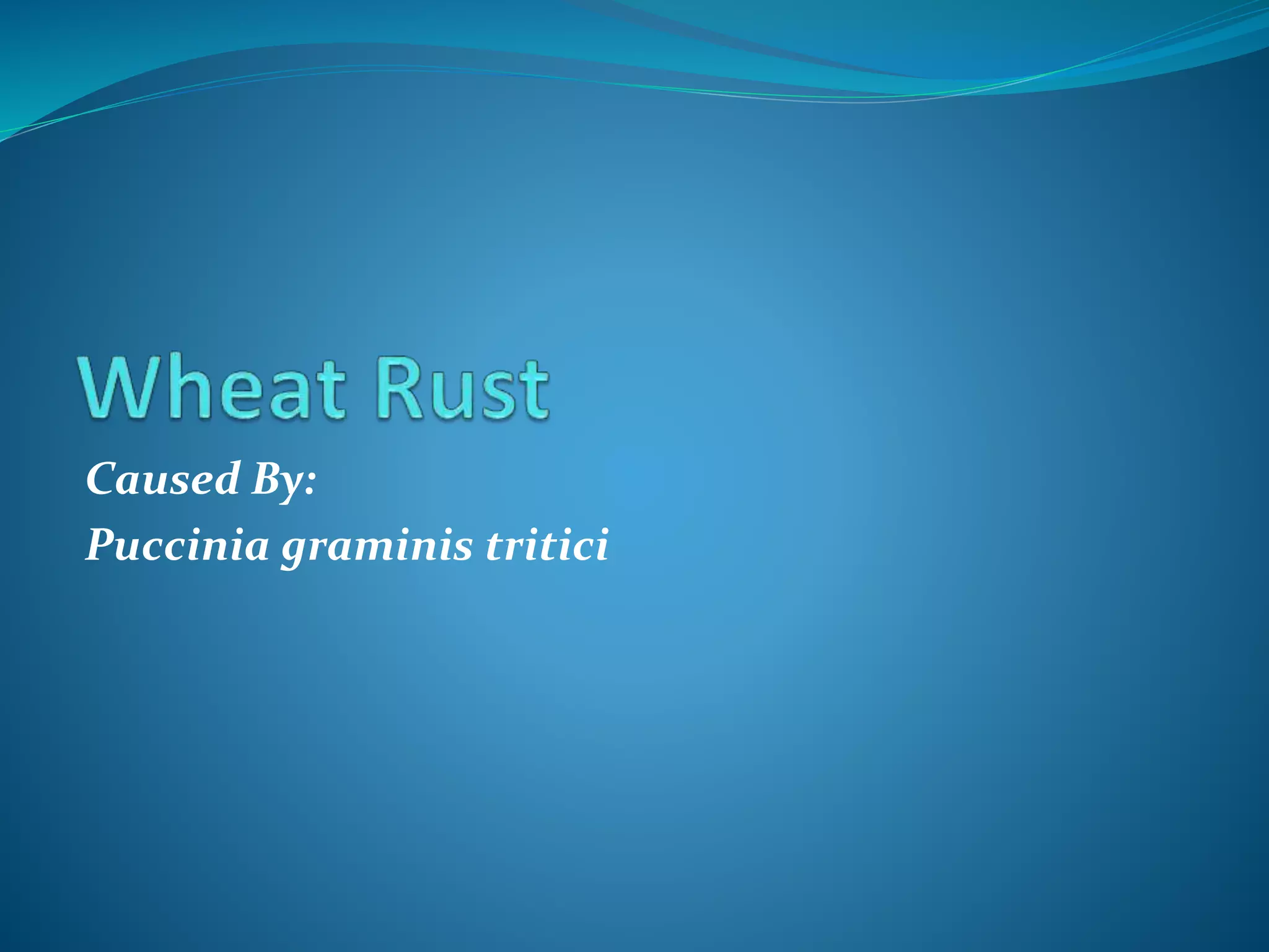Rust diseases | PPTX