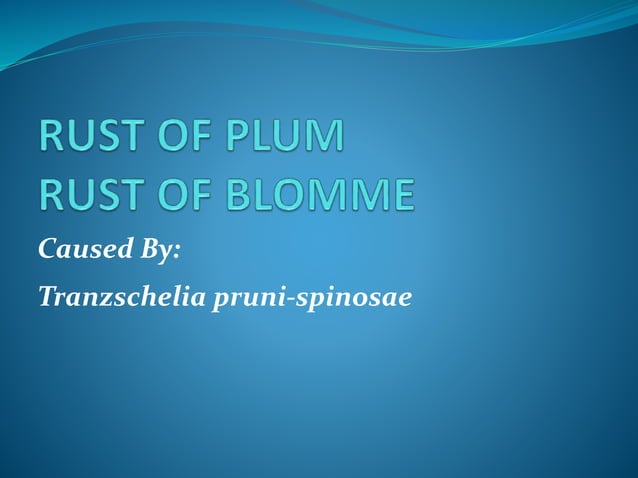 Rust diseases | PPTX