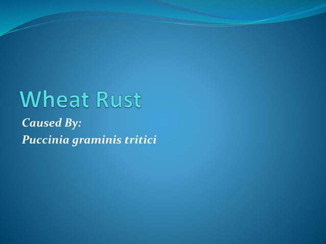 Rust diseases | PPTX