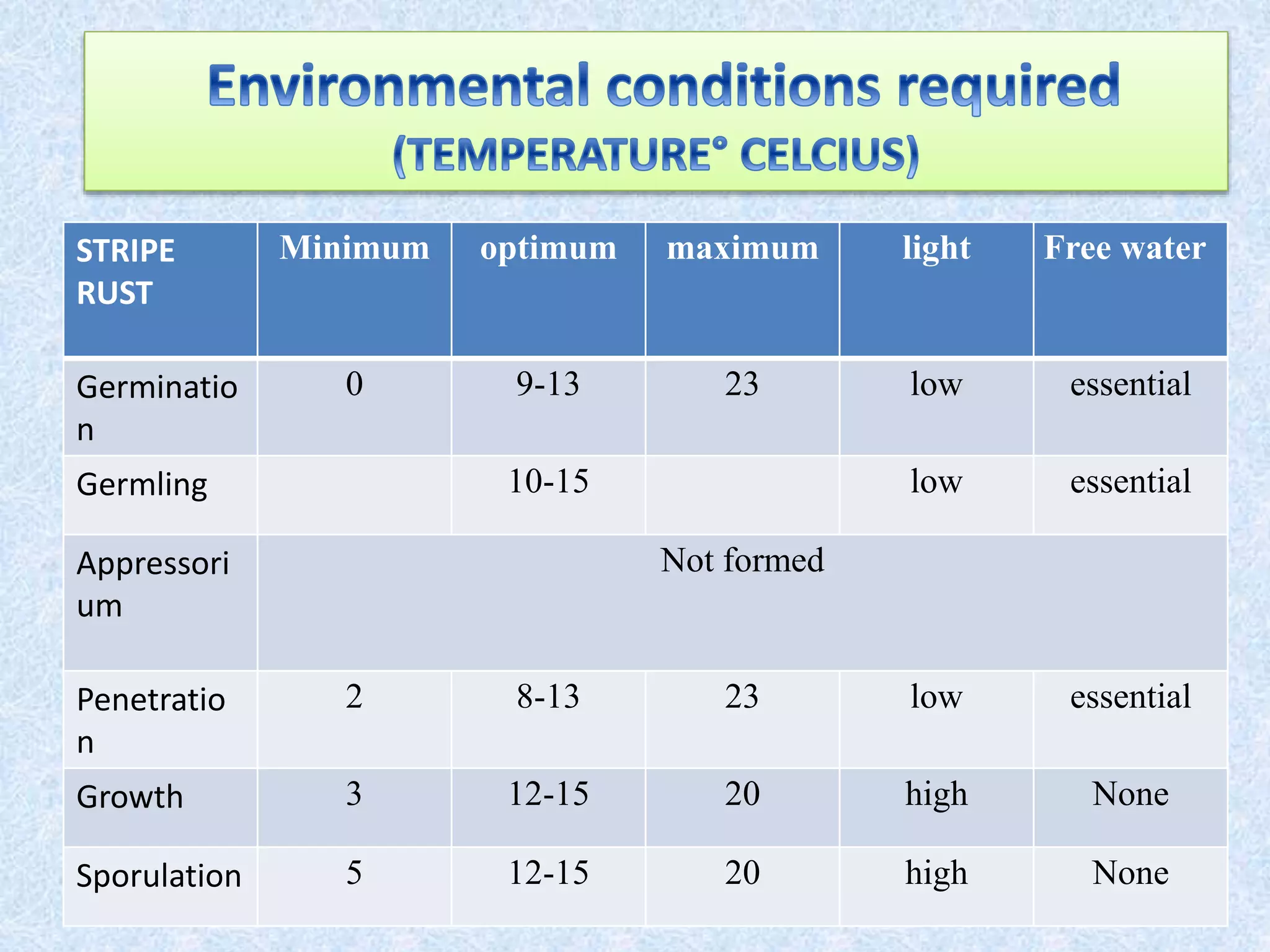 Rust diseases of wheat | PPTX