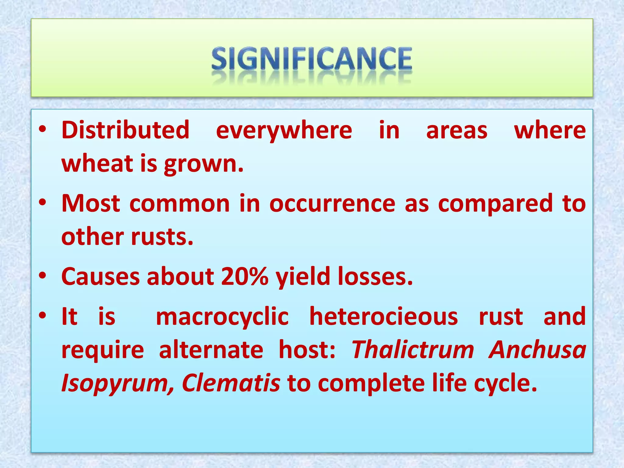Rust diseases of wheat | PPTX