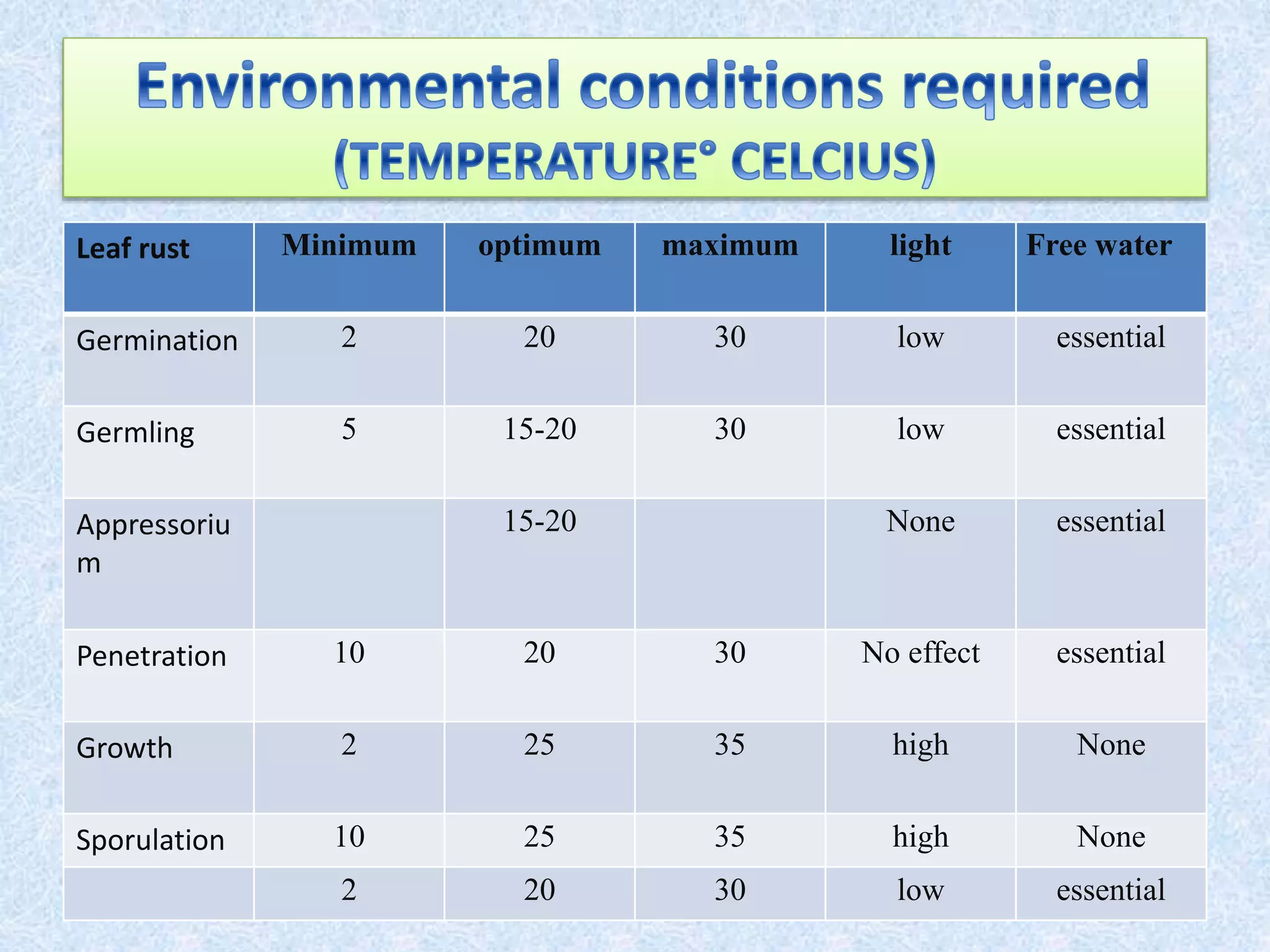 Rust diseases of wheat | PPTX