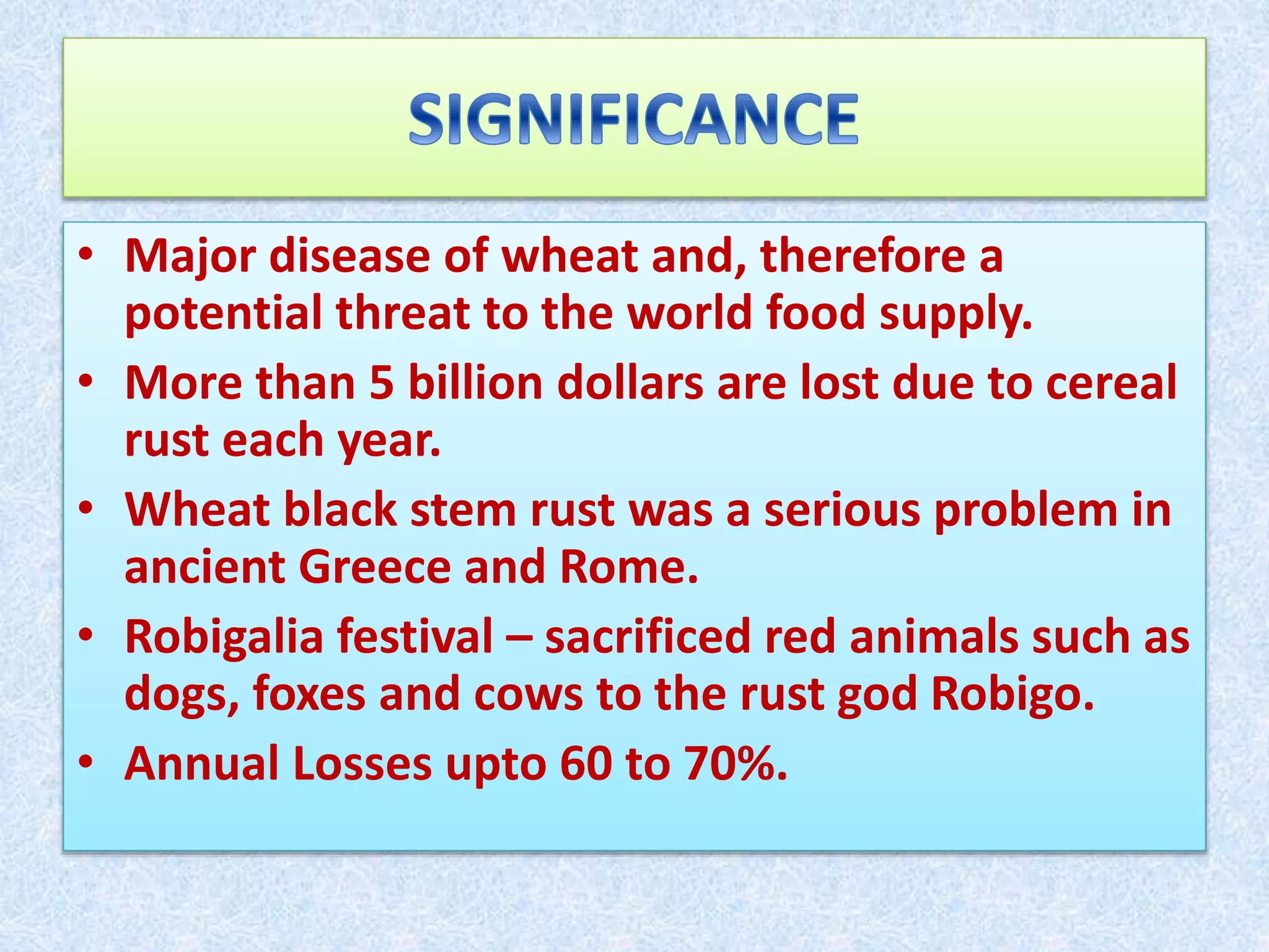 Rust diseases of wheat | PPTX