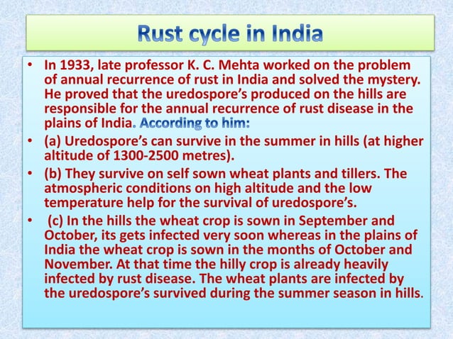 Rust diseases of wheat | PPTX