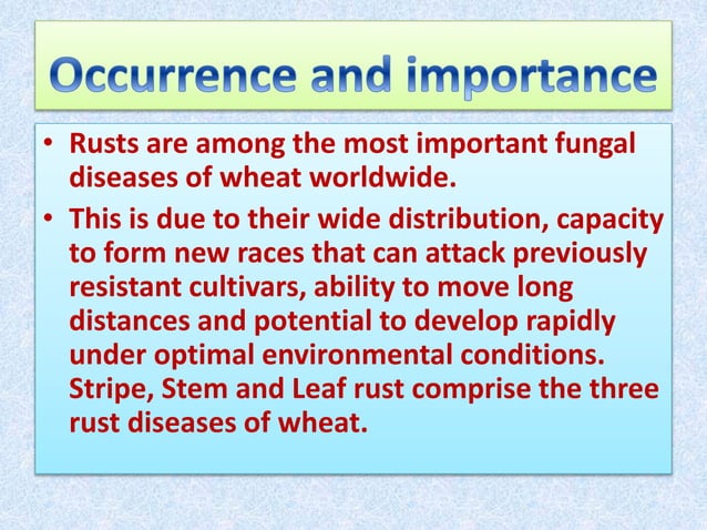 Rust diseases of wheat | PPTX