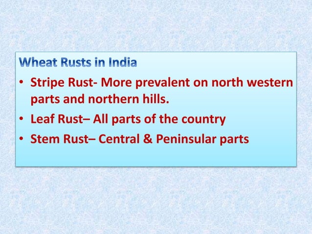 Rust diseases of wheat | PPTX
