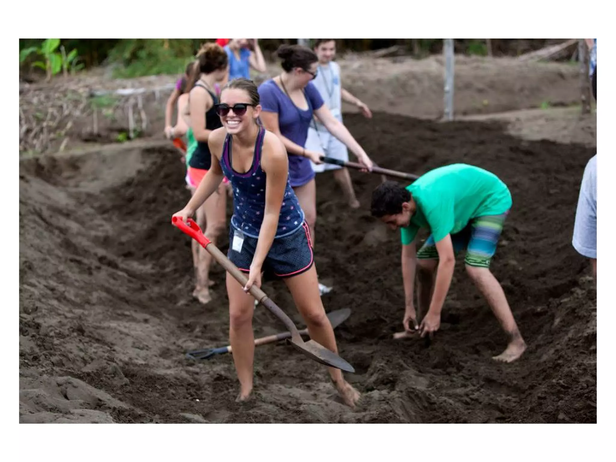 Rustic pathways | PDF