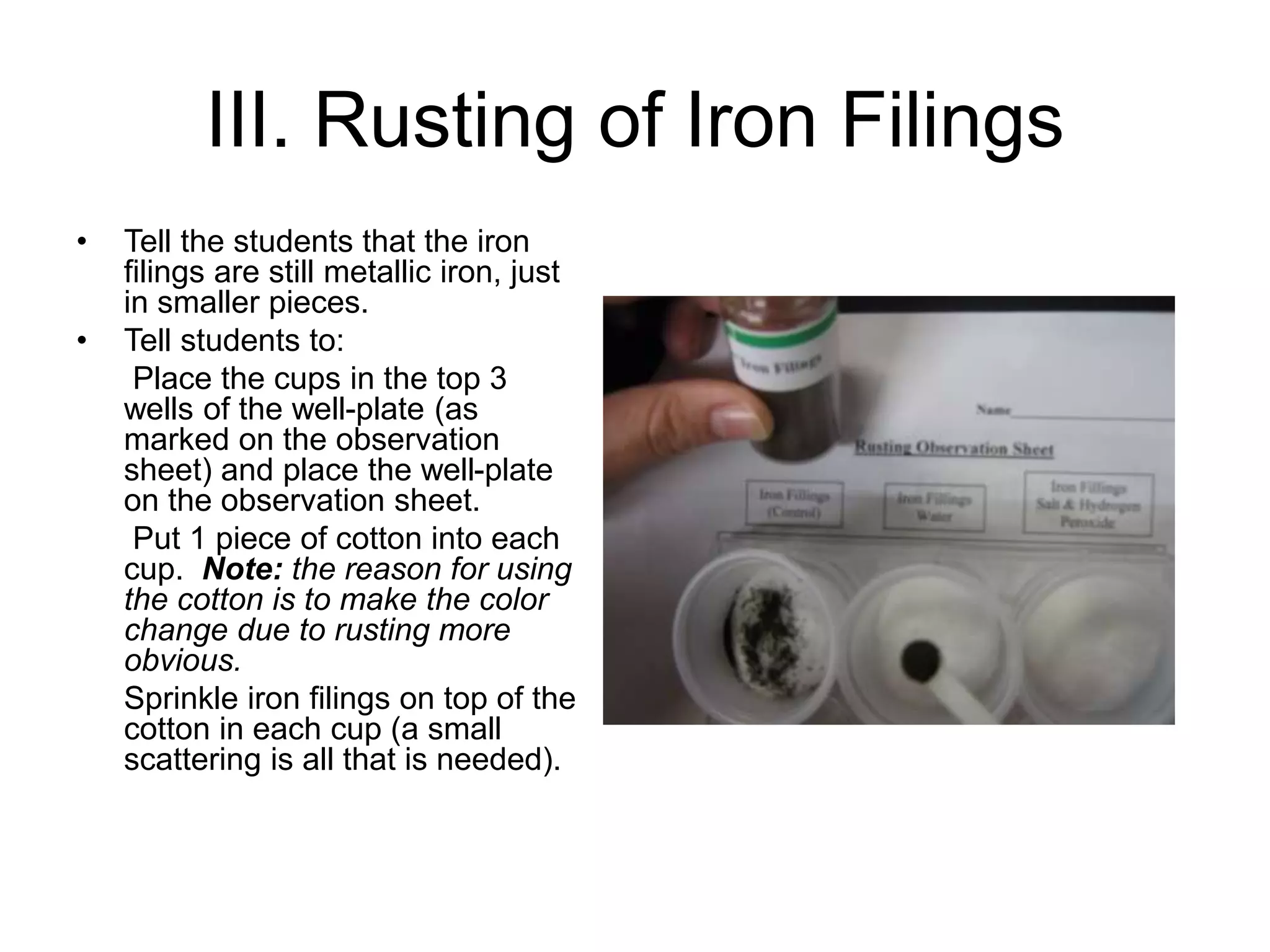 Rusting-Fall-2009.ppt