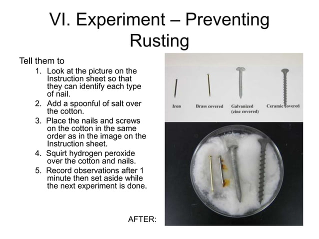 Rusting-Fall-2009.ppt