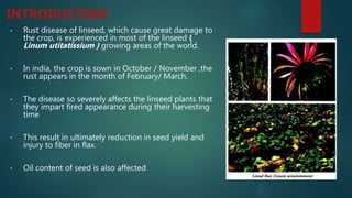 Rust of linseed | PPTX