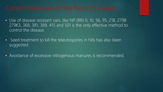 Rust of linseed | PPTX