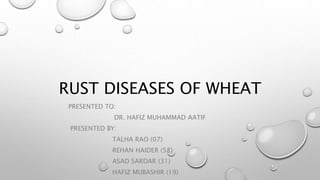 Rust of wheat | PPTX