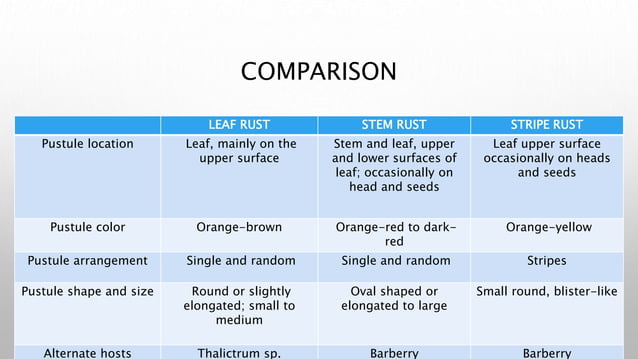 Rust of wheat | PPTX