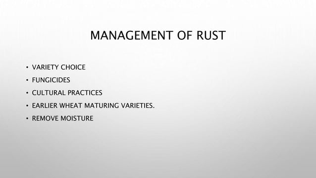 Rust of wheat | PPTX