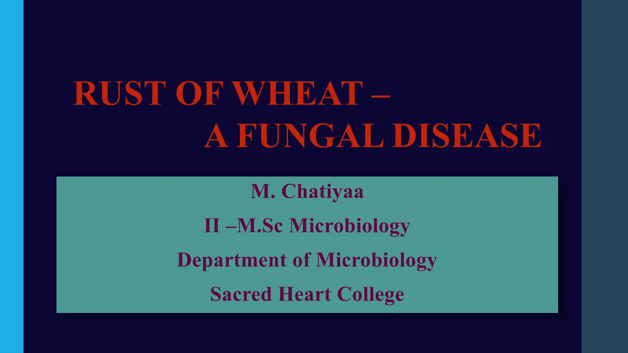 RUST OF WHEAT/ A FUNGAL DISEASE/ LIFE CYCLE/ SYMPTOMS/ MANAGEMENT | PPTX