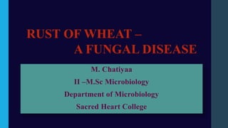 RUST OF WHEAT/ A FUNGAL DISEASE/ LIFE CYCLE/ SYMPTOMS/ MANAGEMENT | PPTX
