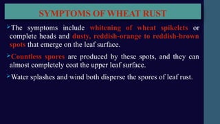 RUST OF WHEAT/ A FUNGAL DISEASE/ LIFE CYCLE/ SYMPTOMS/ MANAGEMENT | PPTX