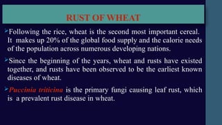 RUST OF WHEAT/ A FUNGAL DISEASE/ LIFE CYCLE/ SYMPTOMS/ MANAGEMENT | PPT