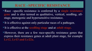 RUST OF WHEAT/ A FUNGAL DISEASE/ LIFE CYCLE/ SYMPTOMS/ MANAGEMENT | PPTX