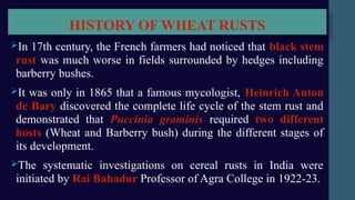 RUST OF WHEAT/ A FUNGAL DISEASE/ LIFE CYCLE/ SYMPTOMS/ MANAGEMENT | PPT