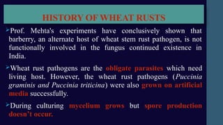 RUST OF WHEAT/ A FUNGAL DISEASE/ LIFE CYCLE/ SYMPTOMS/ MANAGEMENT | PPT