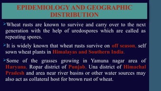 RUST OF WHEAT/ A FUNGAL DISEASE/ LIFE CYCLE/ SYMPTOMS/ MANAGEMENT | PPTX