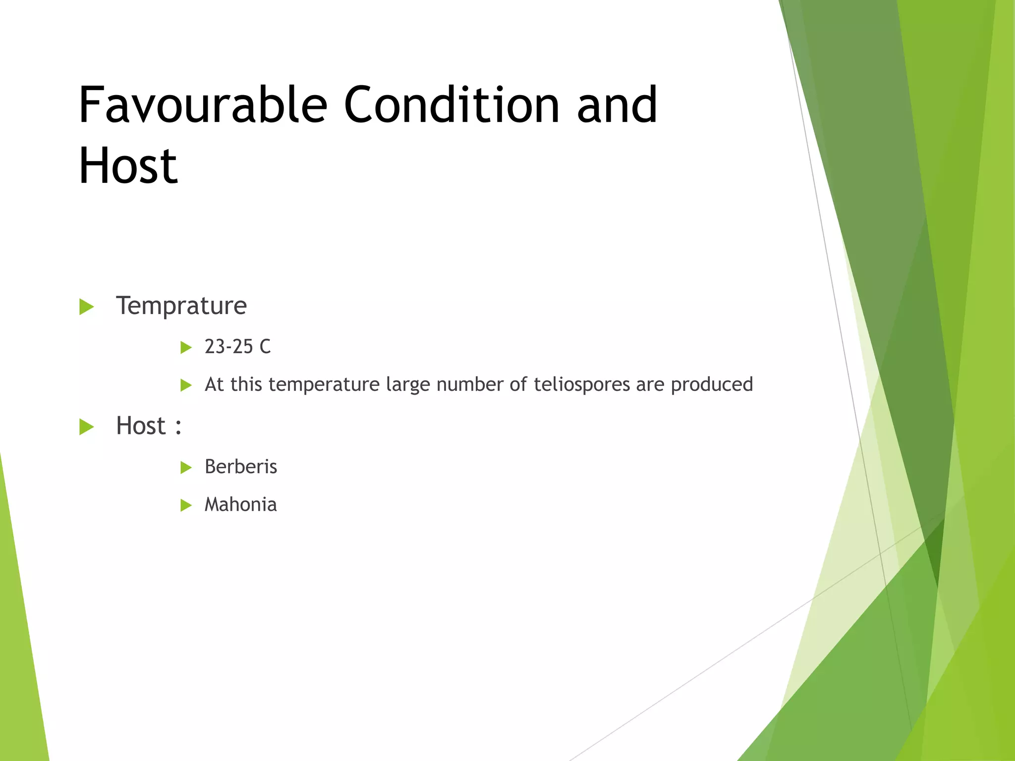 stem rust of wheat | PPTX