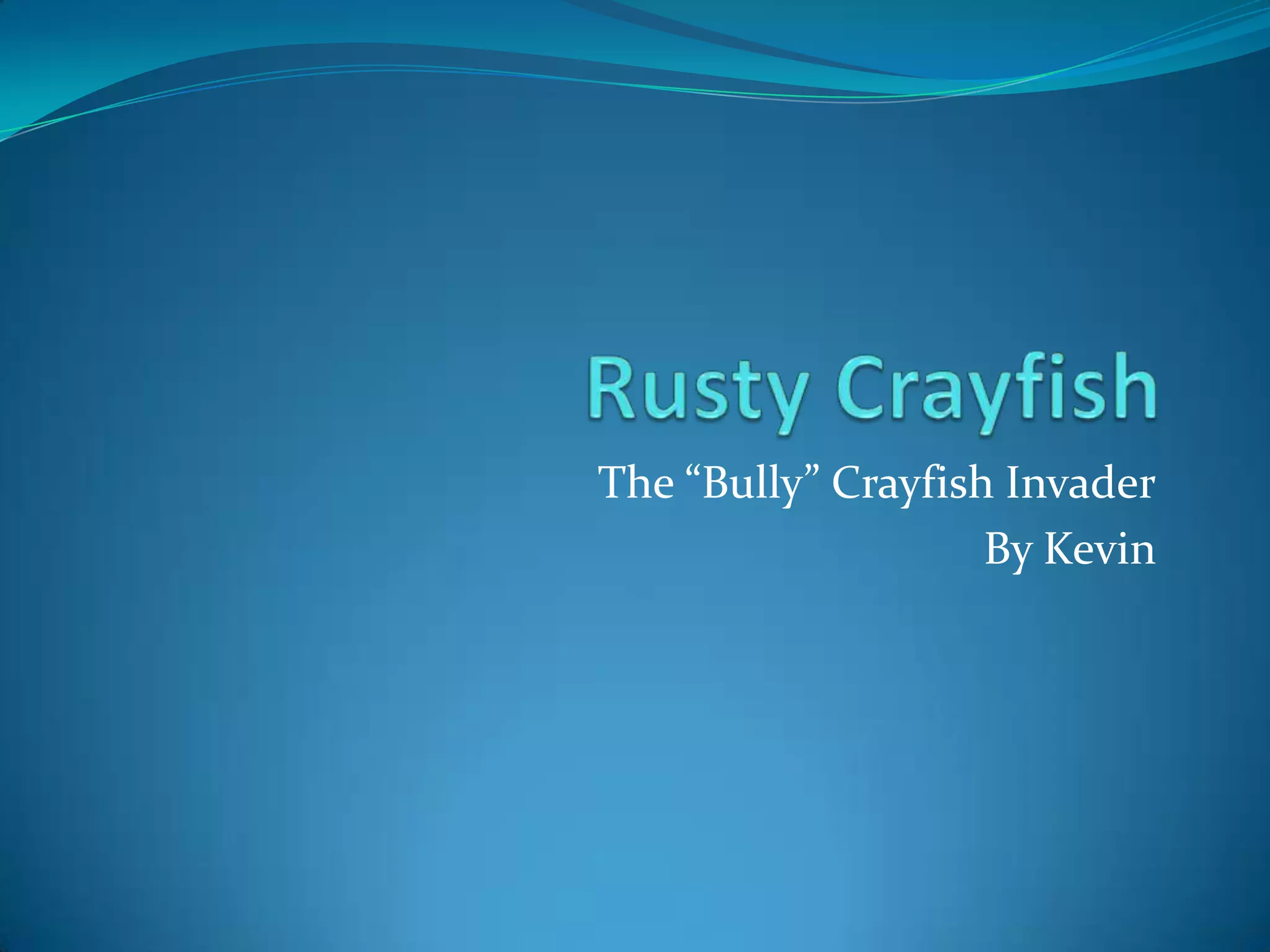 Rusty crayfish powerpoint.pptx kevin | PPTX | Fish and Aquariums | Pets