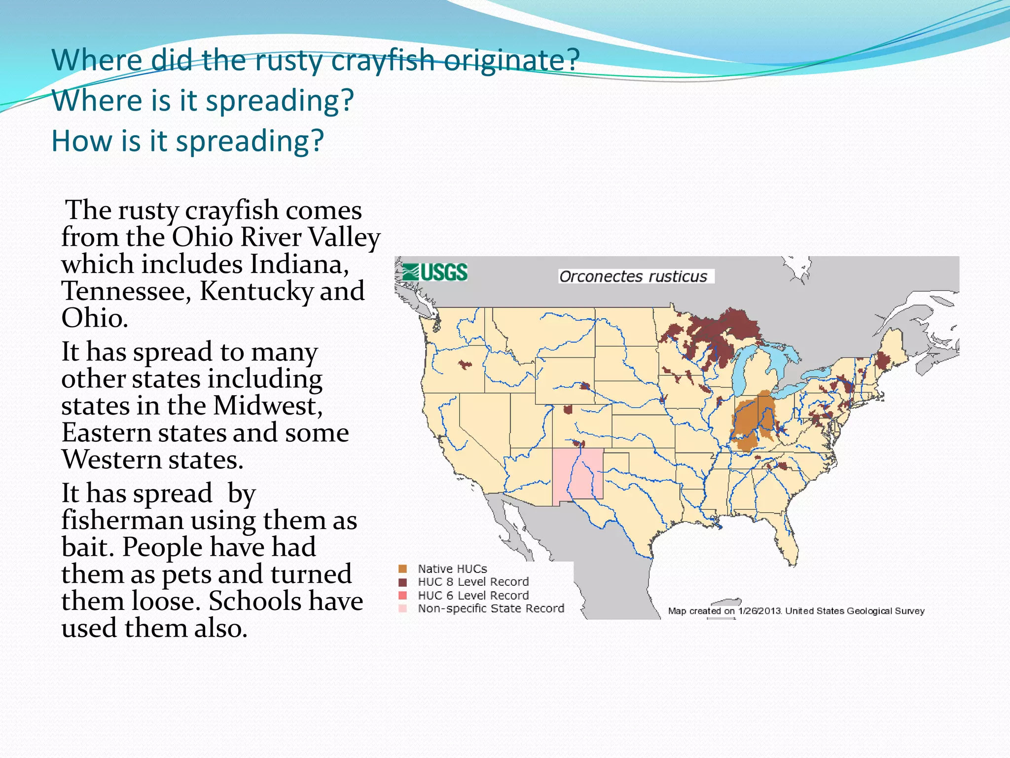 Rusty crayfish powerpoint.pptx kevin | PPTX