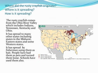 Rusty crayfish powerpoint.pptx kevin | PPTX